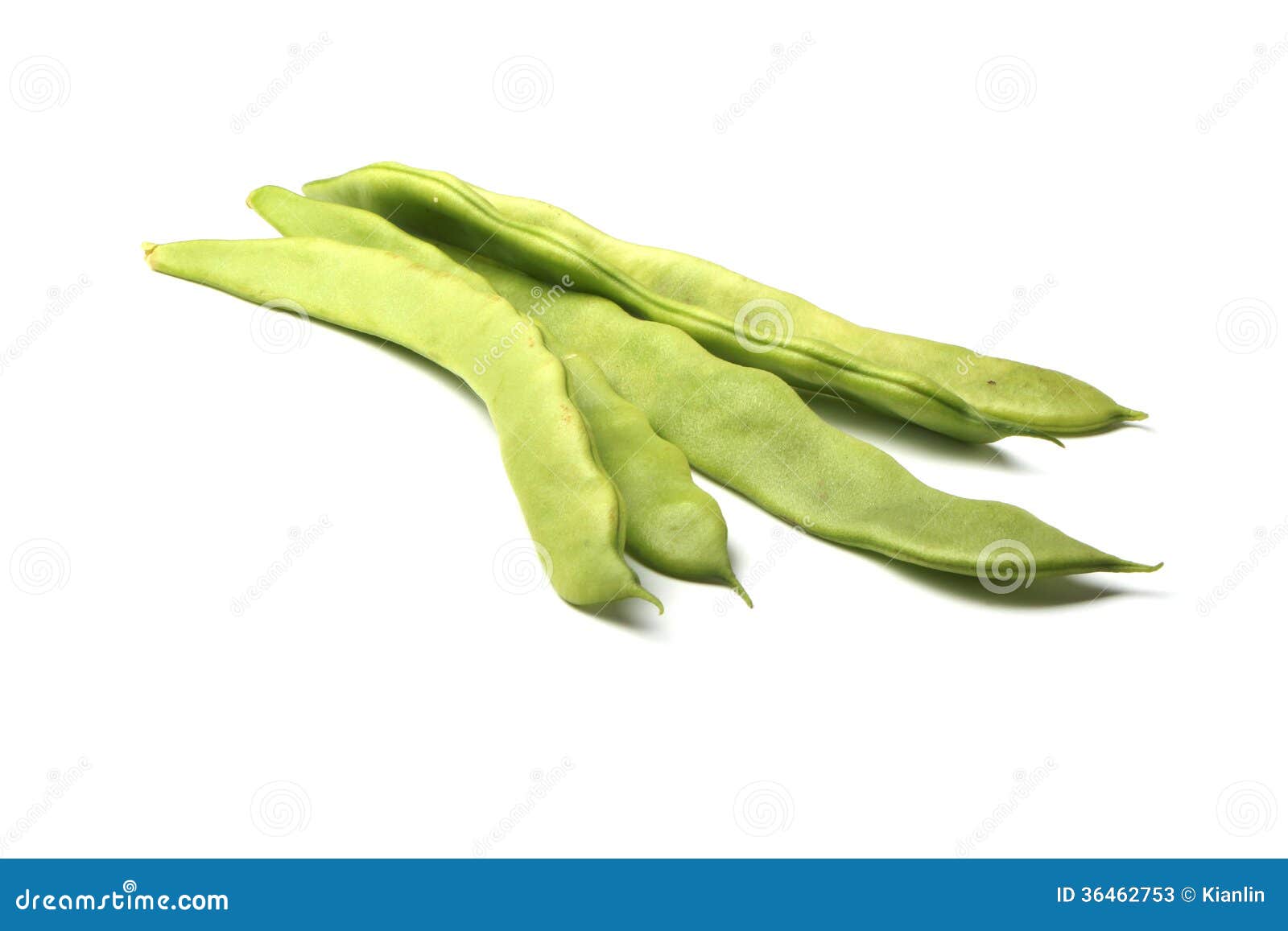 Haricot sabre image stock. Image du agriculture, doux - 36462753