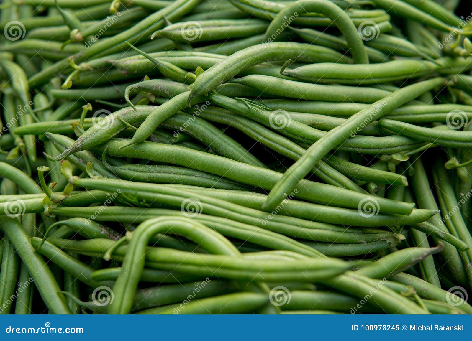 Haricot vert image stock. Image du frais, haricot, agriculture - 100978245