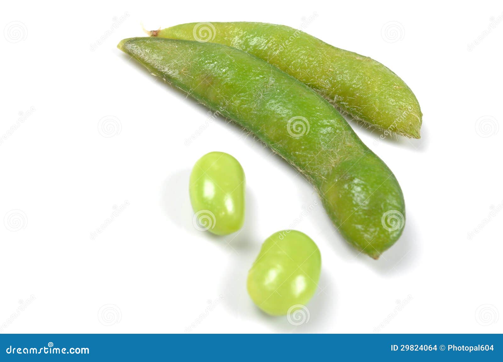 Haricot vert de soja photo stock. Image du régime, repas - 29824064