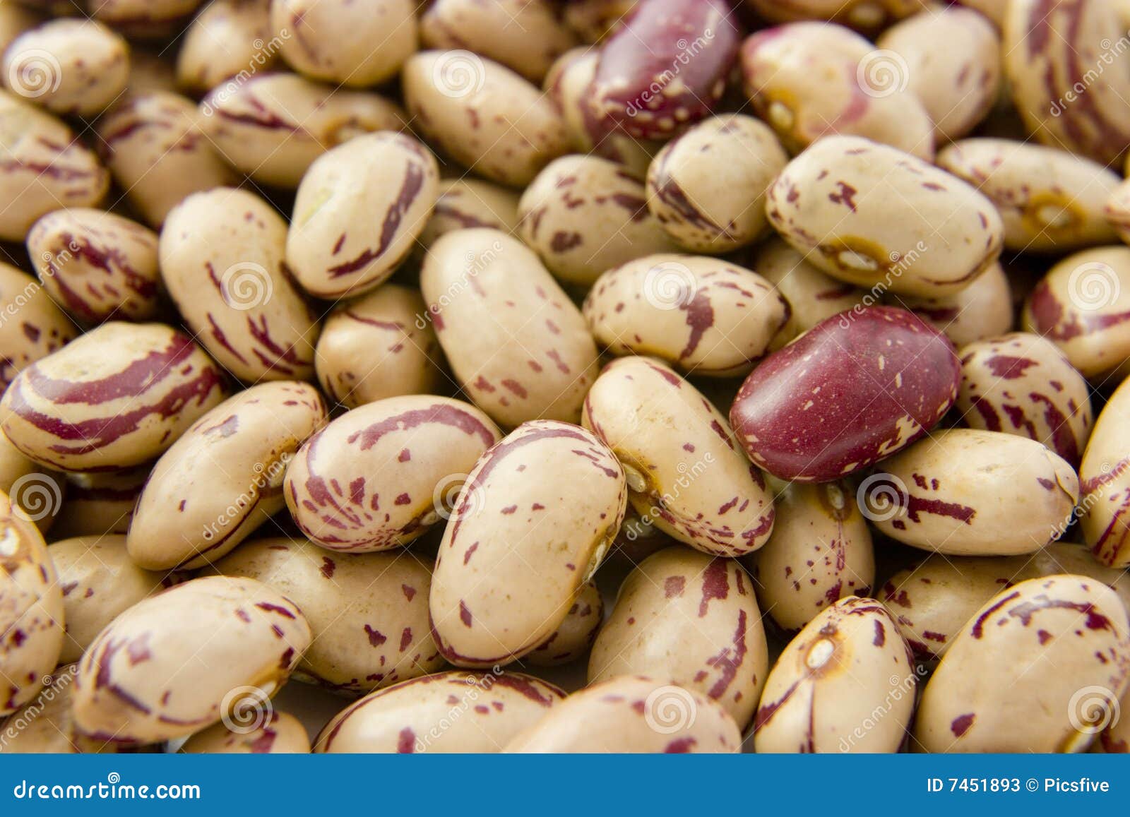 Haricots 12 image stock. Image du nourriture, aliments - 7451893