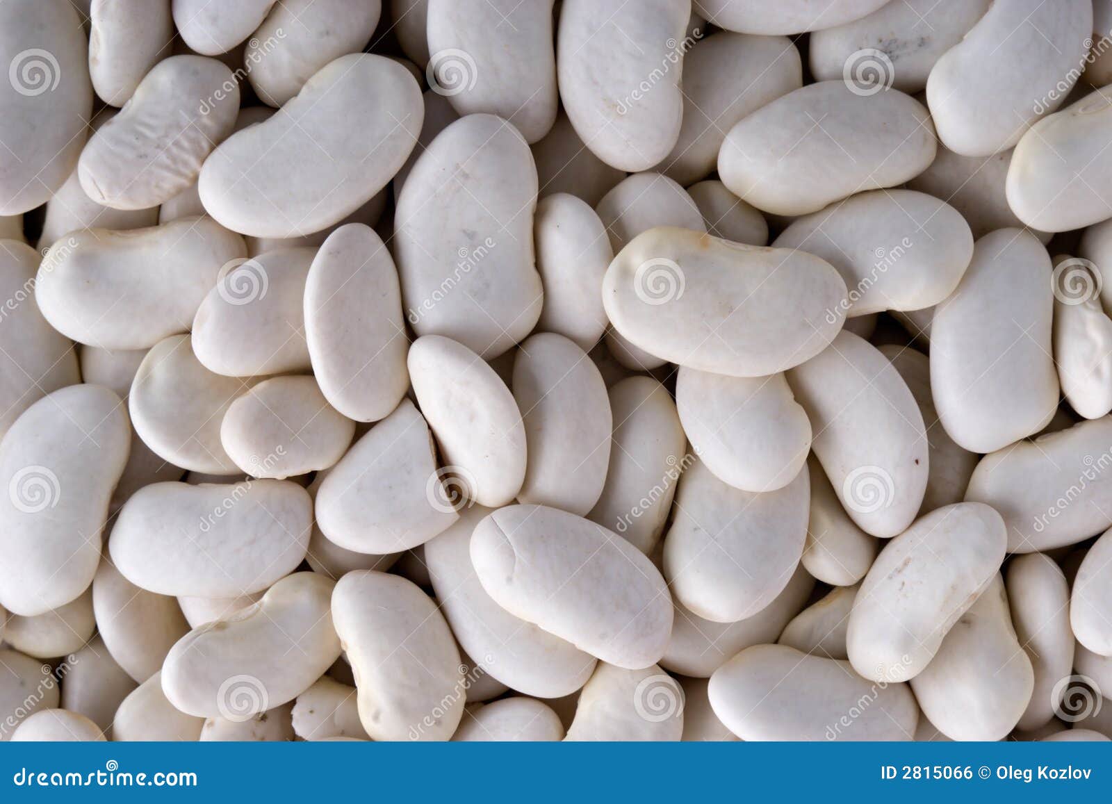 Haricots blancs secs photo stock. Image du chaleureux - 2815066