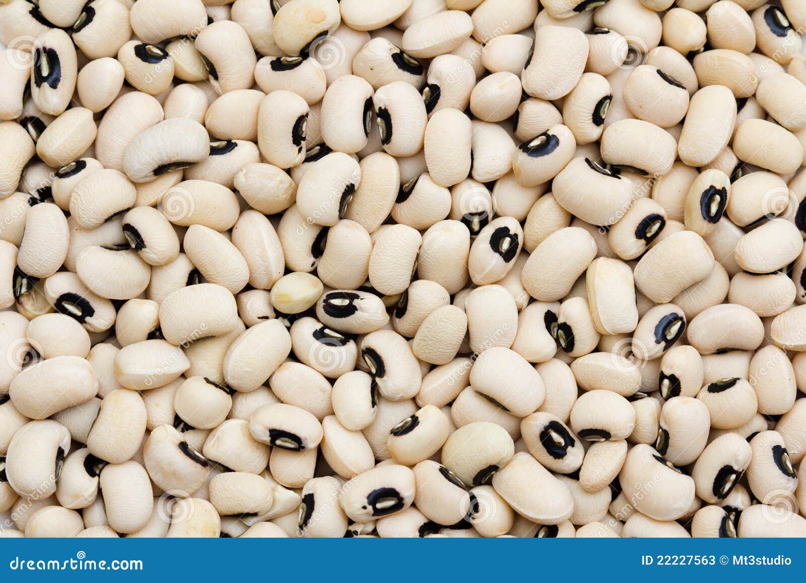 Haricots De œil Au Beurre Noir Image stock - Image du légume, jaune ...