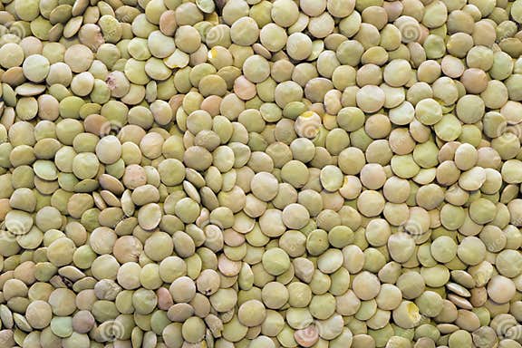 Haricots de lentille photo stock. Image du régime, lentille - 50458606
