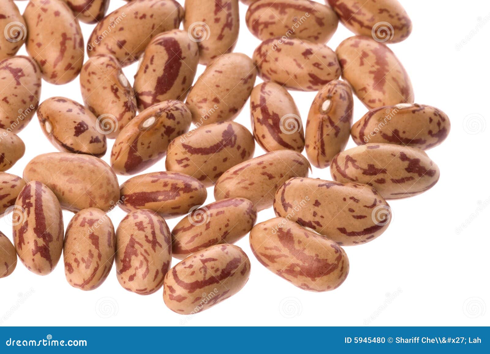Haricots de Pinto photo stock. Image du nourriture, produit - 5945480