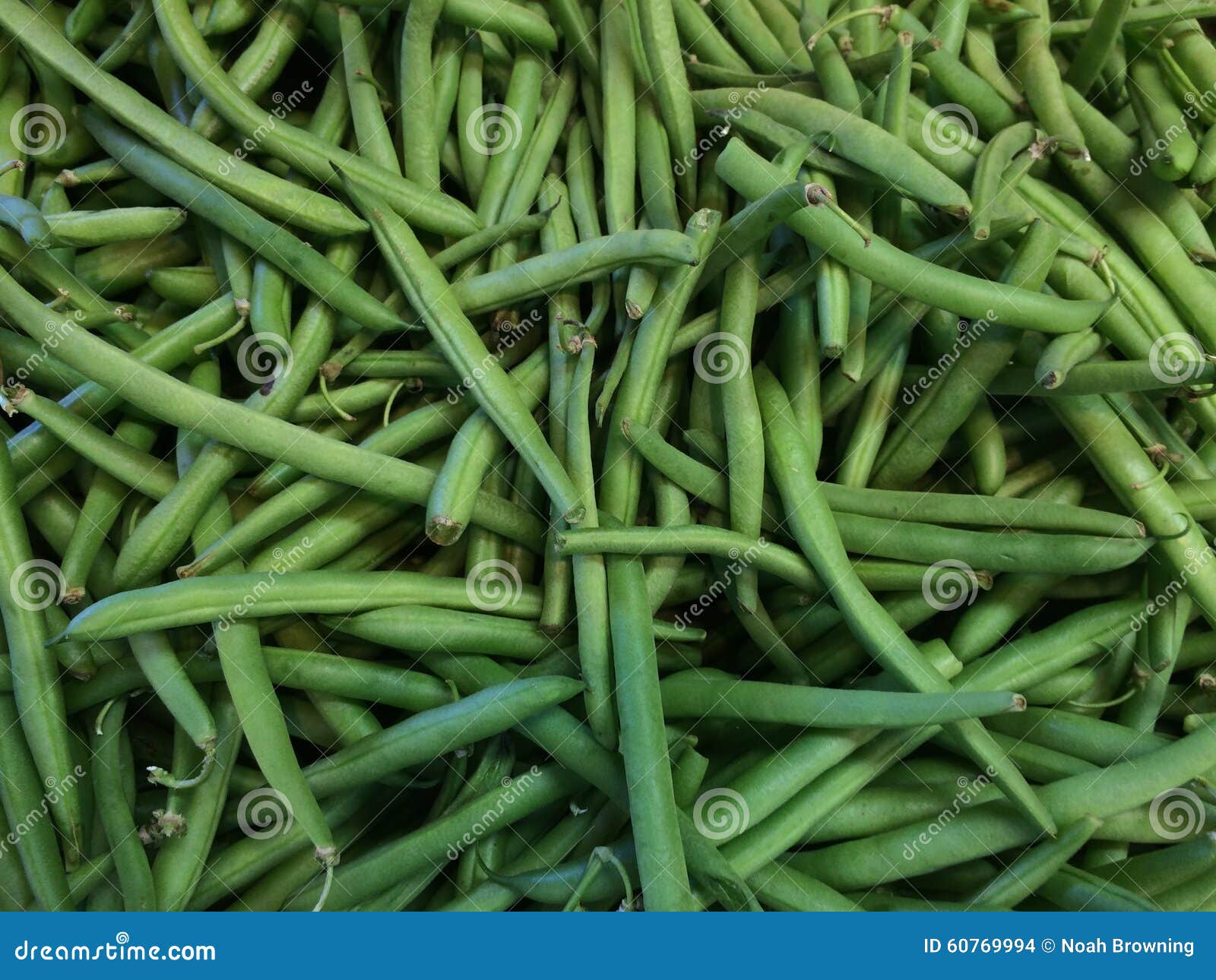 Haricots frais photo stock. Image du jardinage, végétarien - 60769994