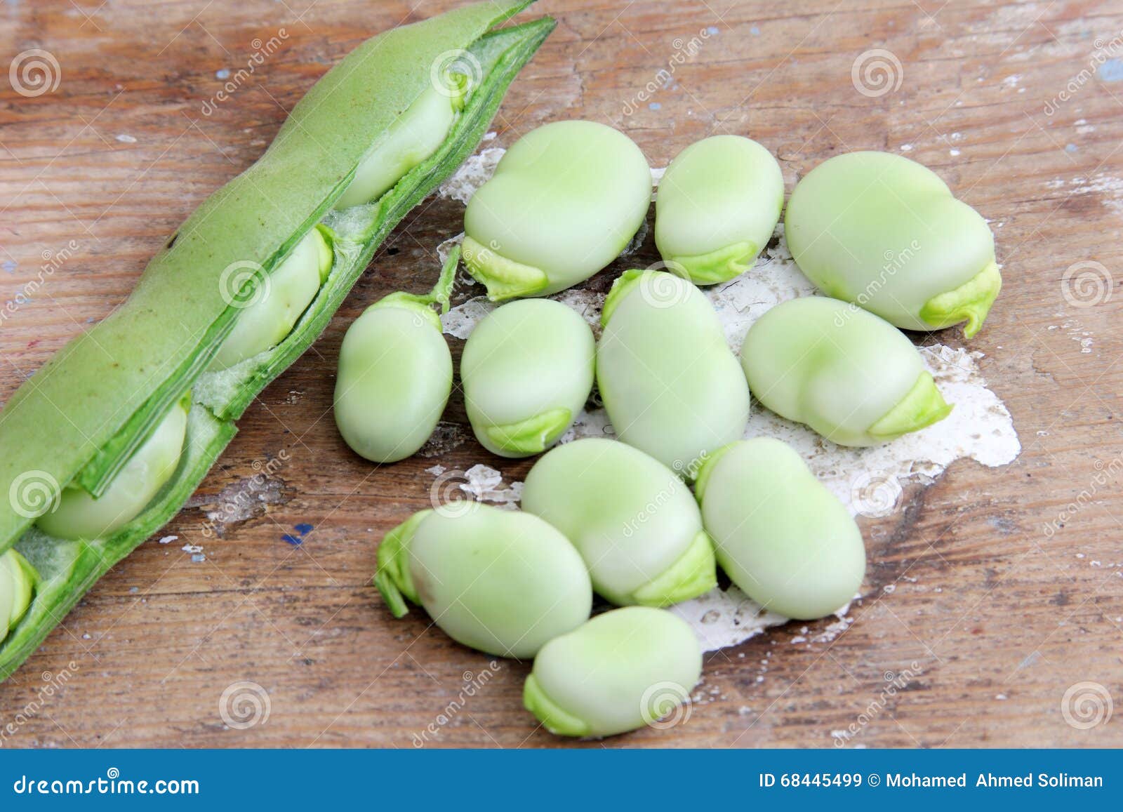 Haricots frais de soja image stock. Image du arome, agriculture - 68445499