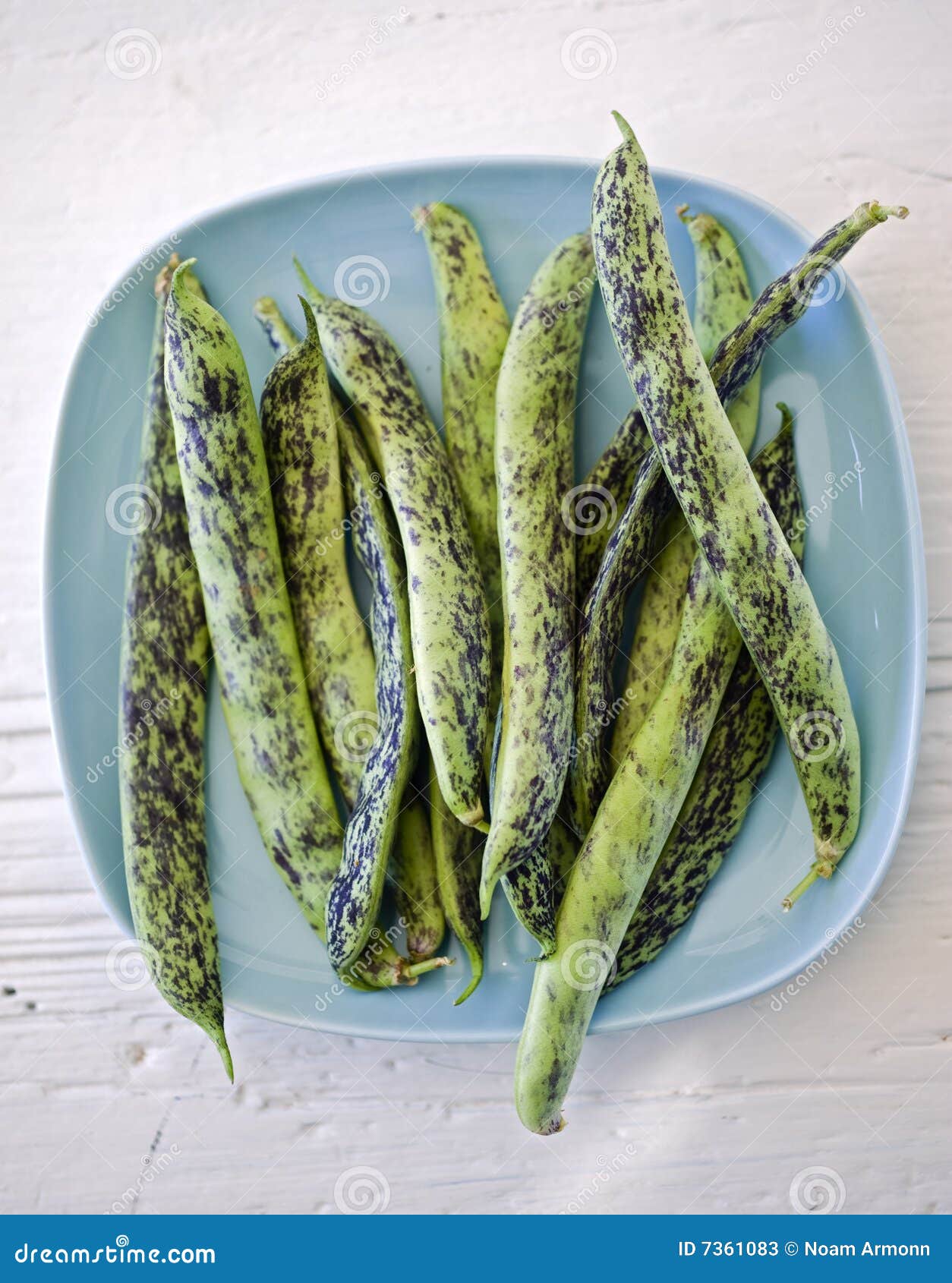 Haricots frais tachetés image stock. Image du régime, centrale - 7361083