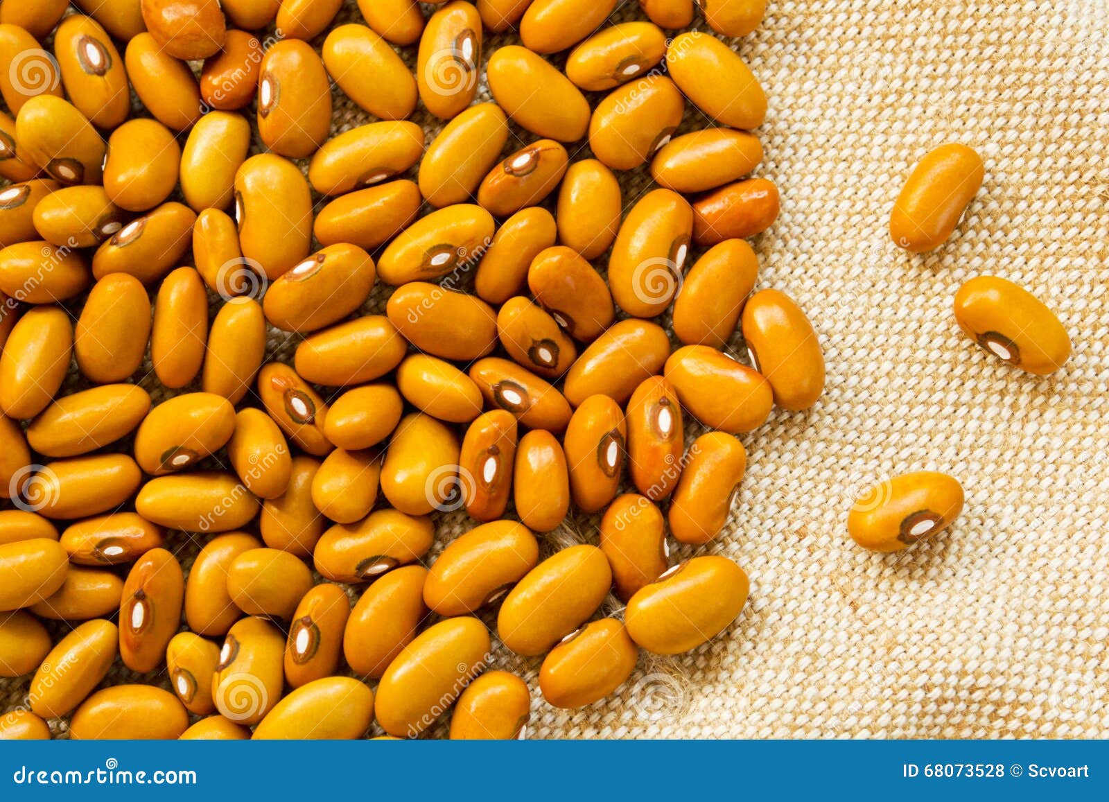 Haricots jaunes secs photo stock. Image du haricot, rein - 68073528