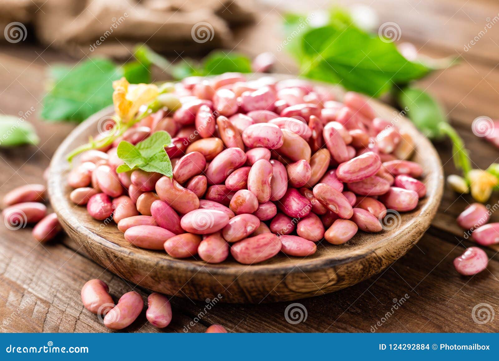 Haricots Nains Rouges Haricot Photo stock - Image du poussin ...