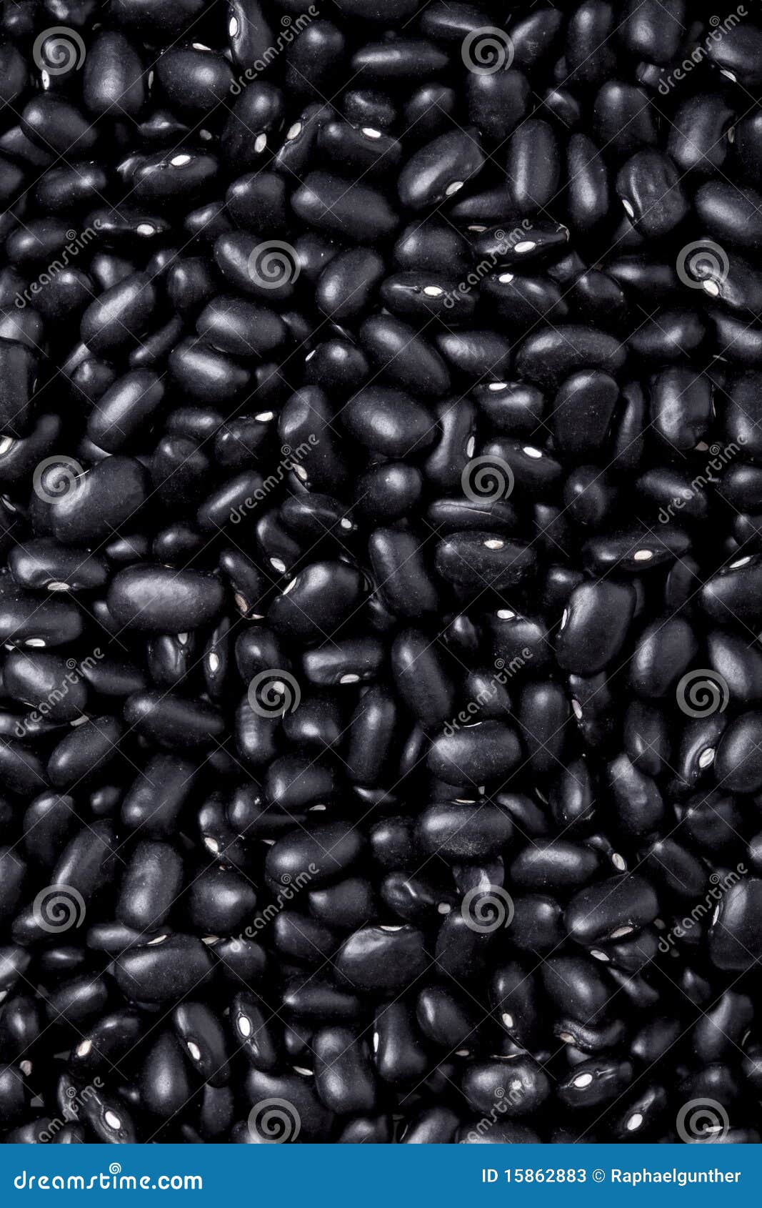 Haricots noirs image stock. Image du haricots, plusieurs - 15862883