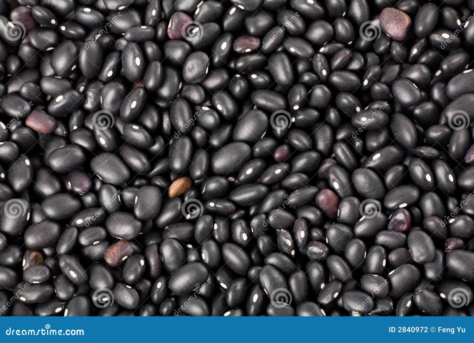 Haricots noirs photo stock. Image du haricot, légumineuse - 2840972