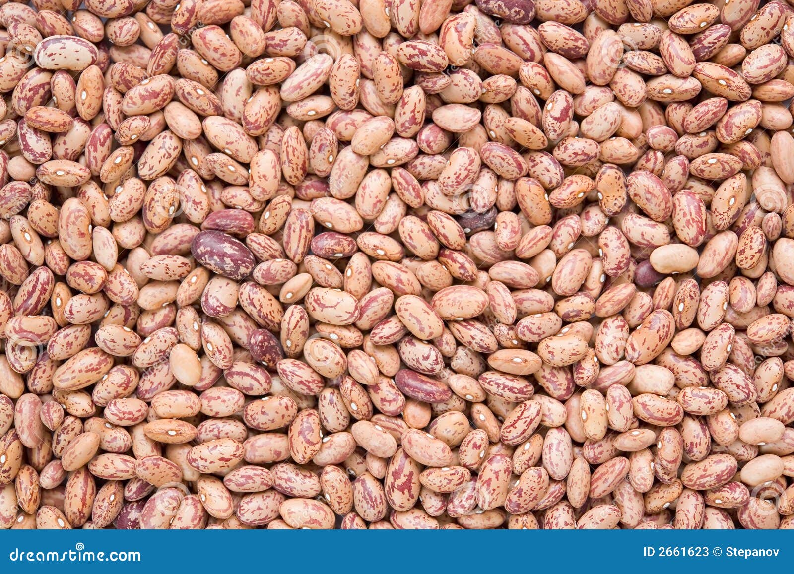 Haricots rouges image stock. Image du céréale, lentille - 2661623