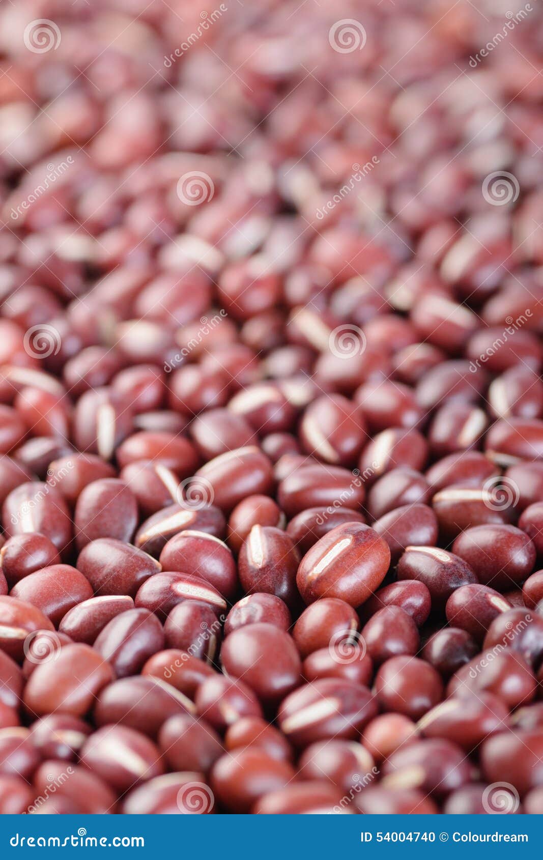 Haricots rouges photo stock. Image du régime, légumineuse - 54004740