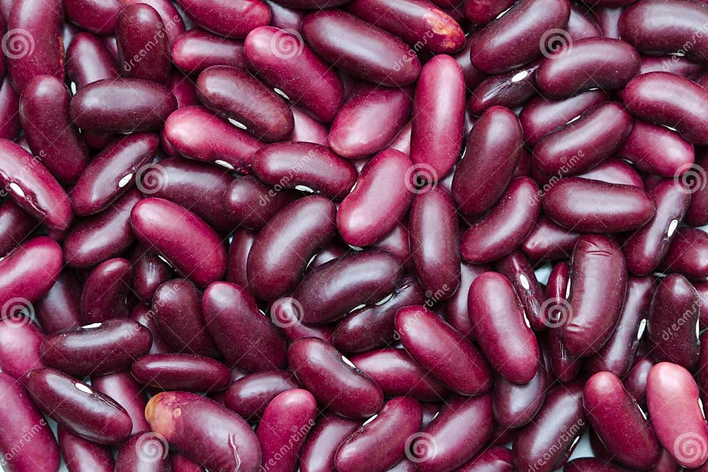 Haricots rouges de rein image stock. Image du rein, produit - 22243565