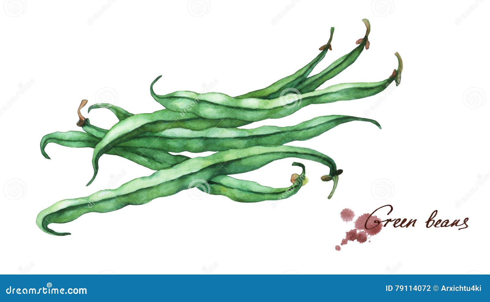 Haricots Verts Stock Illustrations, Vecteurs, & Clipart – (370 Stock ...