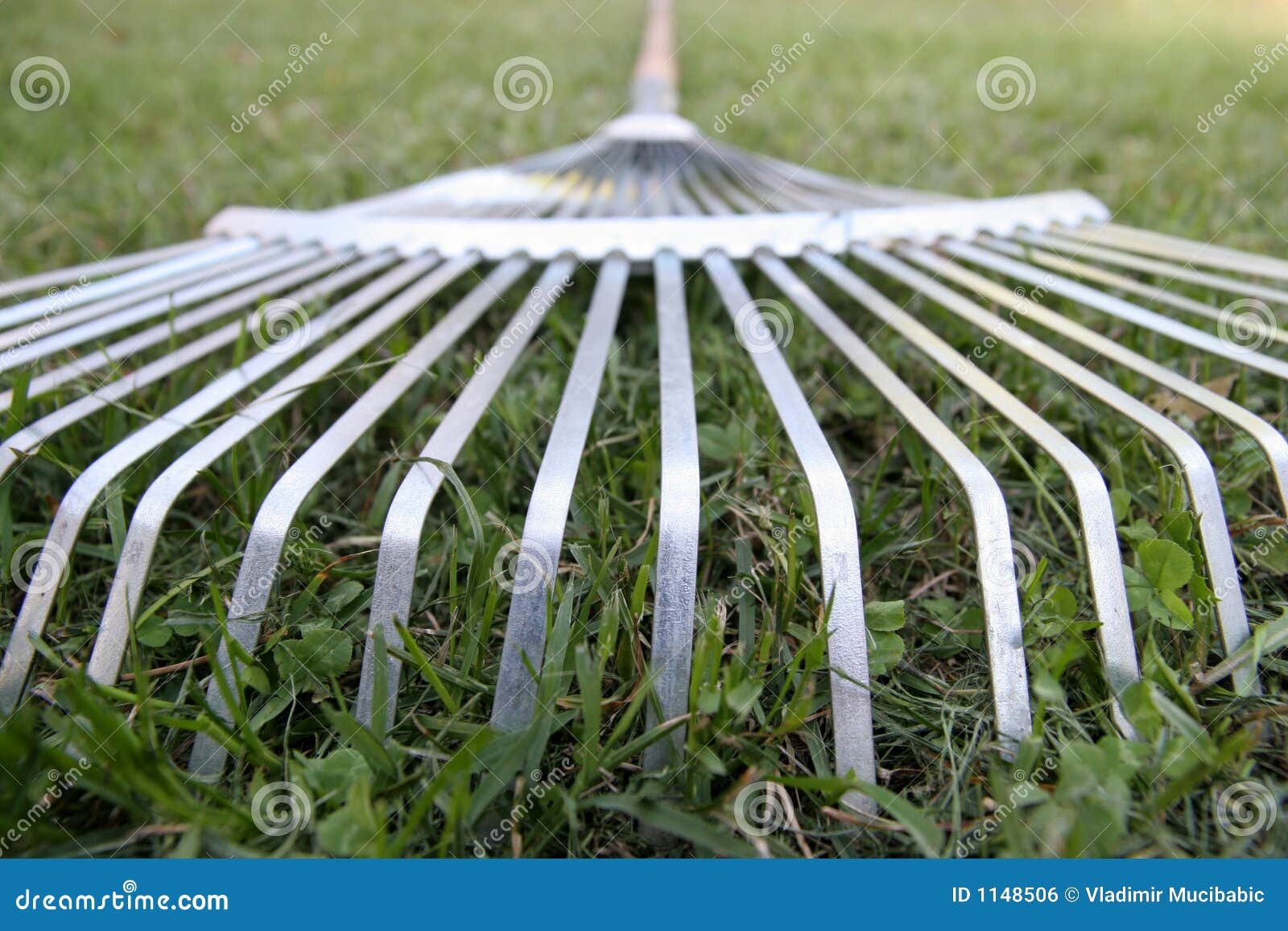 Hark stock foto. Image of openlucht, zolder, groen, weide - 1148506