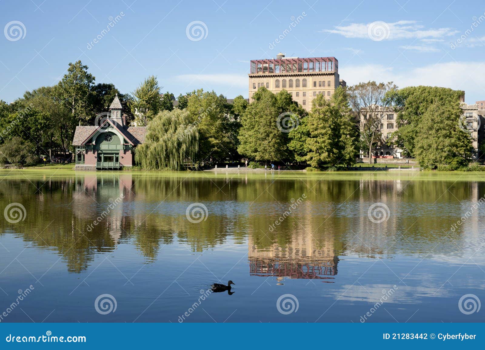Harlem Meer in Central Park Stock Photo - Image of water, center: 21283442
