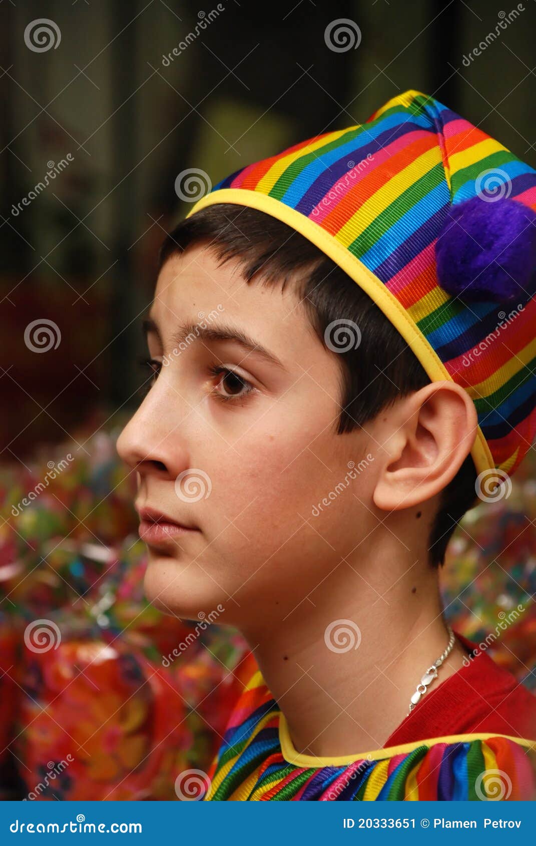 Harlequin stock image. Image of beautiful, face, costume - 20333651