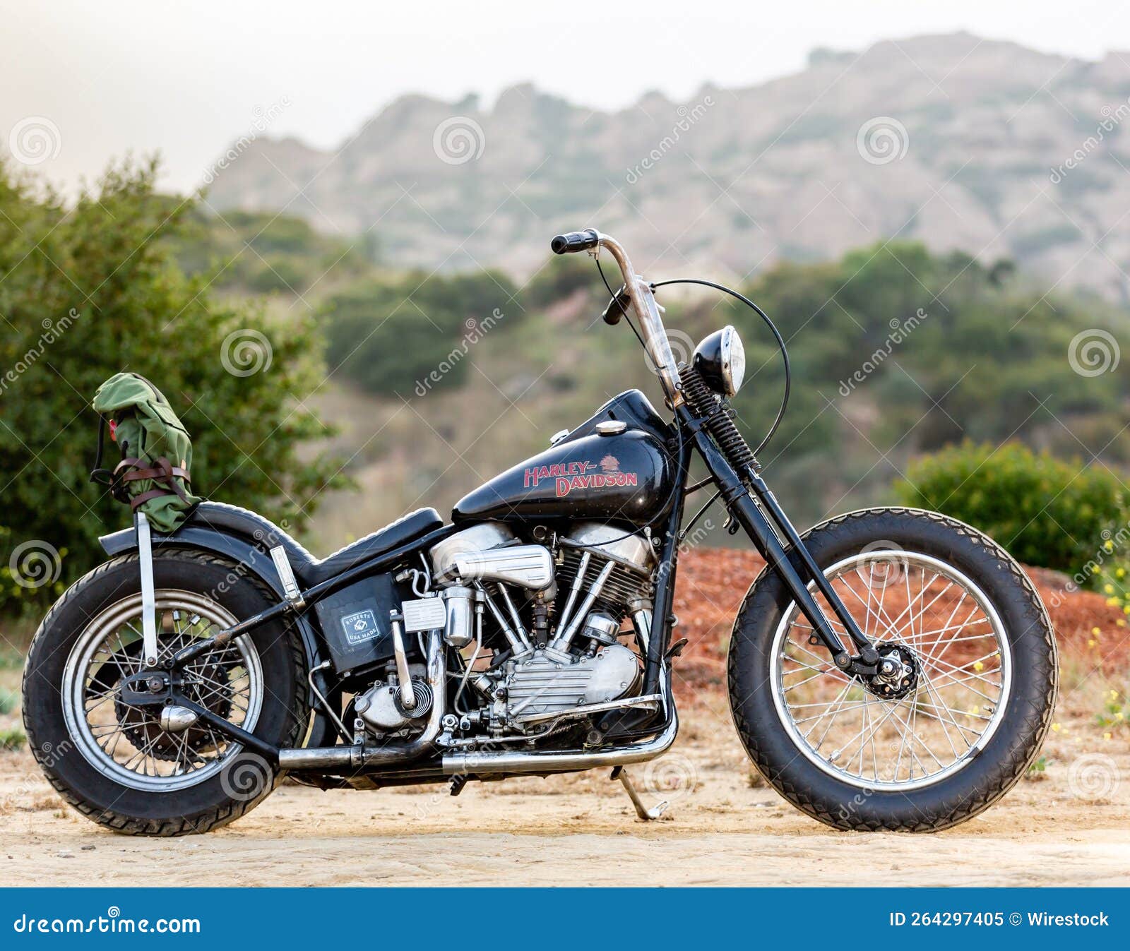 Harley Davidson Custom Vintage Chopper Editorial Image - Image of motor ...