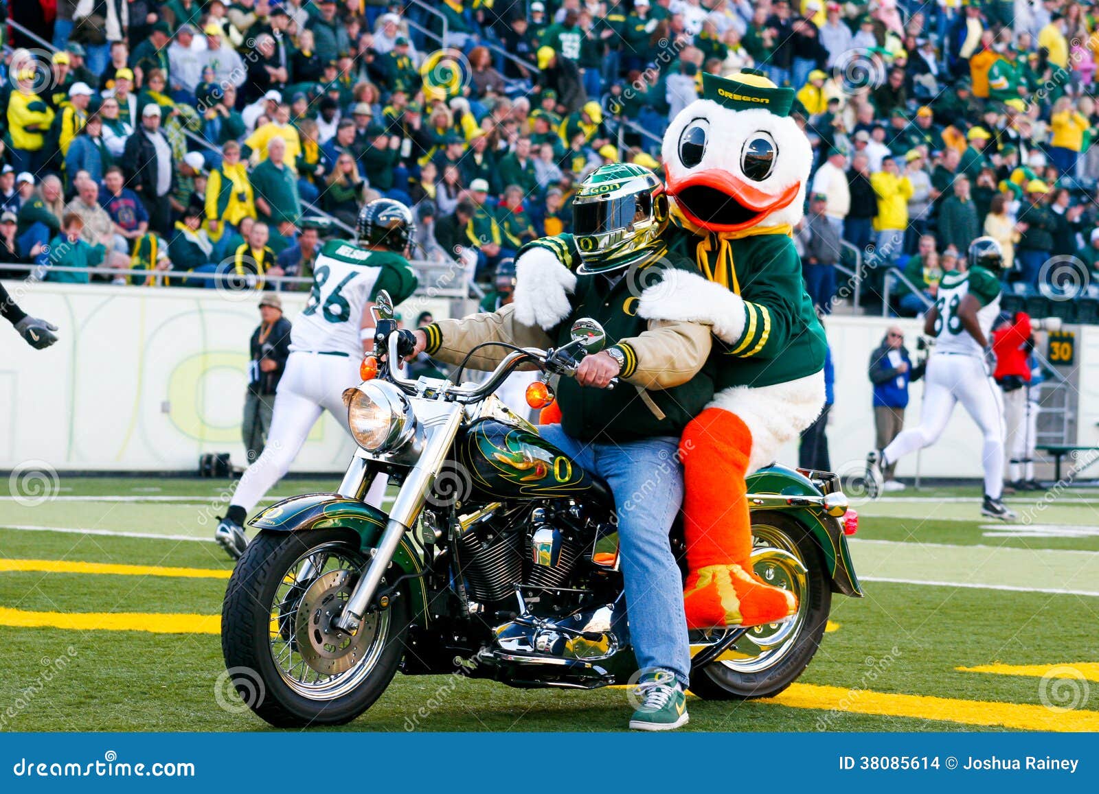 Harley Motorcycle Entrance at Autzen Stadium Editorial Stock Image ...