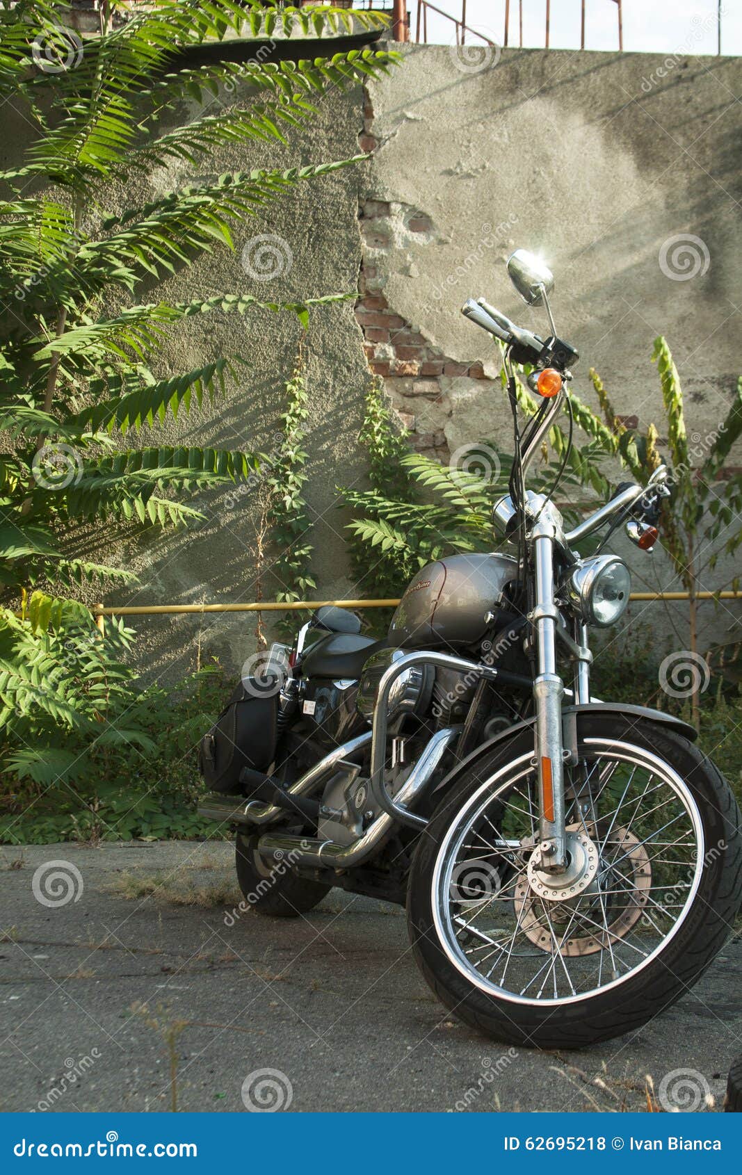Harley Motorcycle outdoor editorial stock photo. Image of motorcycle ...