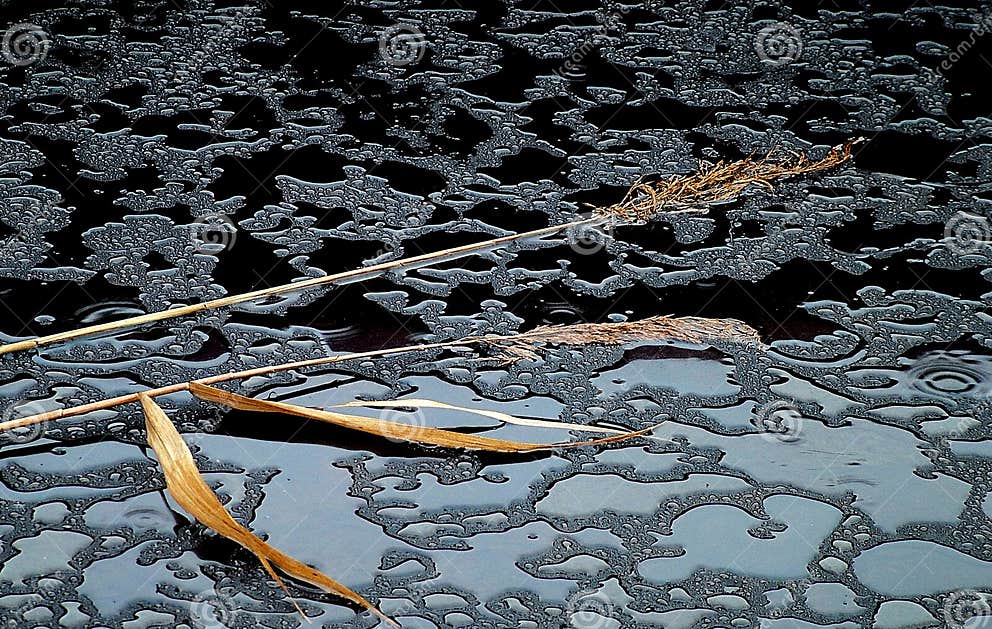 Harmed nature stock image. Image of harmed, damage, spot - 6802731