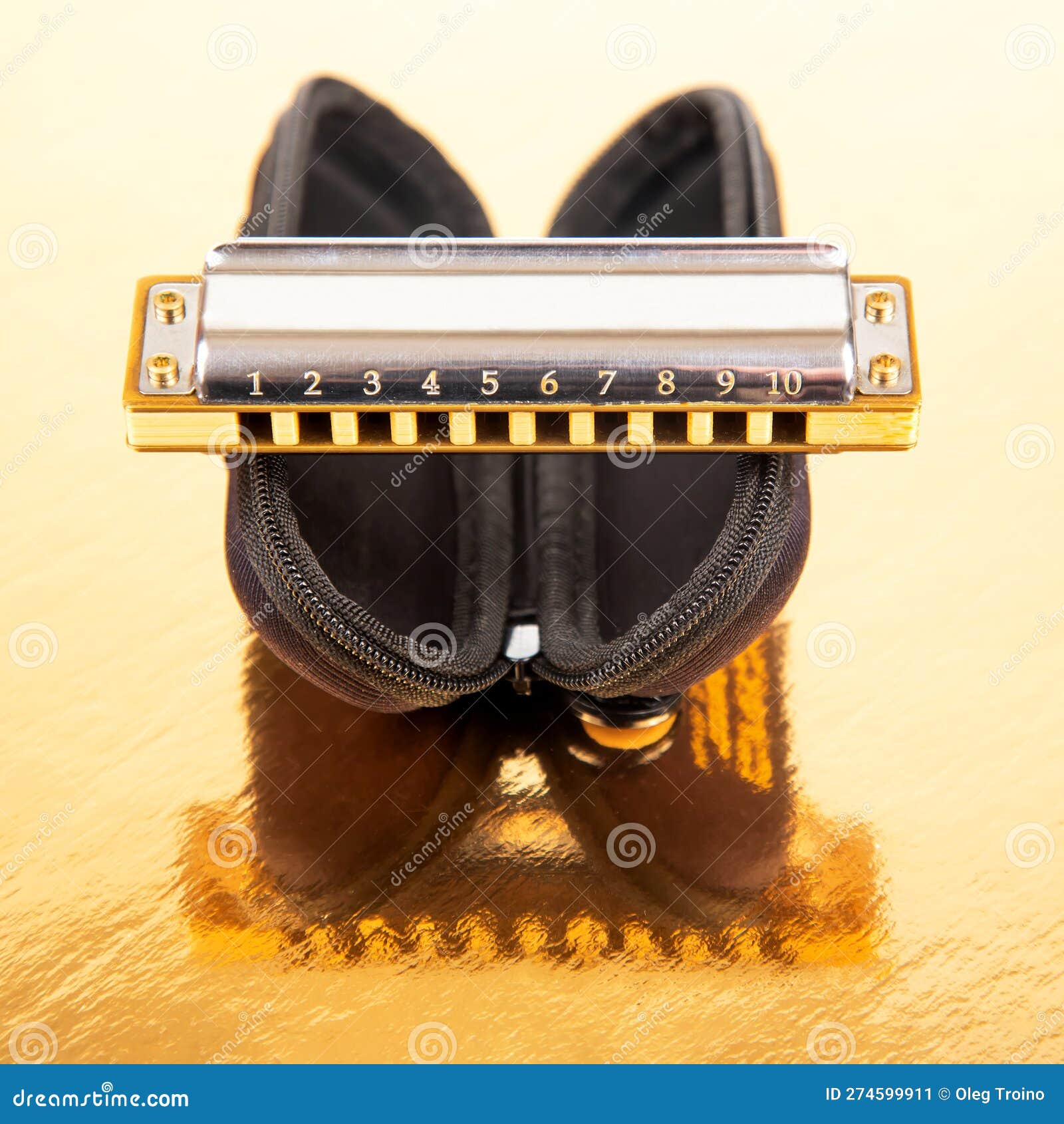 The Harmonica Lies on a Mirrored Surface. Classical Musical Wind ...