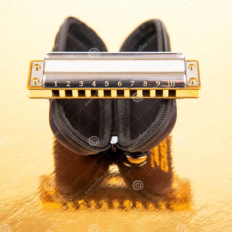 The Harmonica Lies on a Mirrored Surface. Classical Musical Wind ...