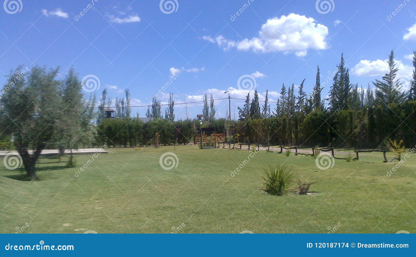 Small field stock photo. Image of place, tree, nature - 120187174