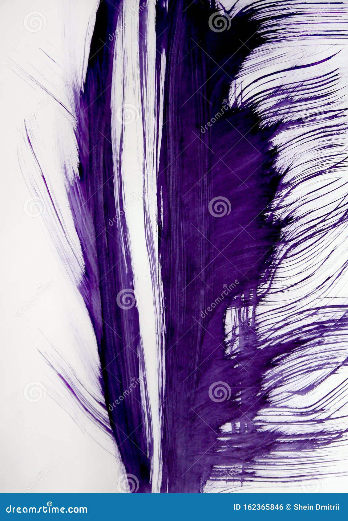 Harmony of Bird Feather during Flight, Feather Lifting Power Stock ...