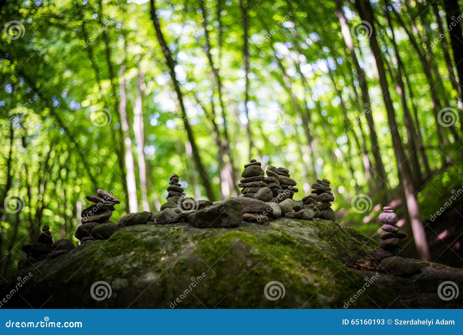 Harmony in nature stock image. Image of environment, arrangement - 65160193