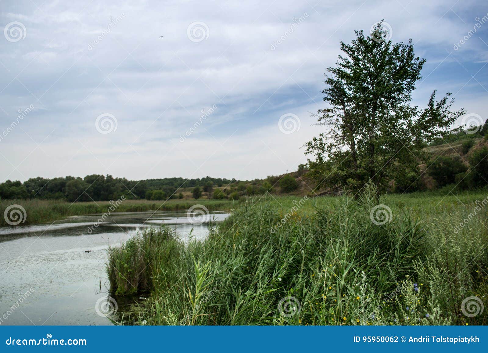 Harmony of nature stock photo. Image of tranquility, silence - 95950062
