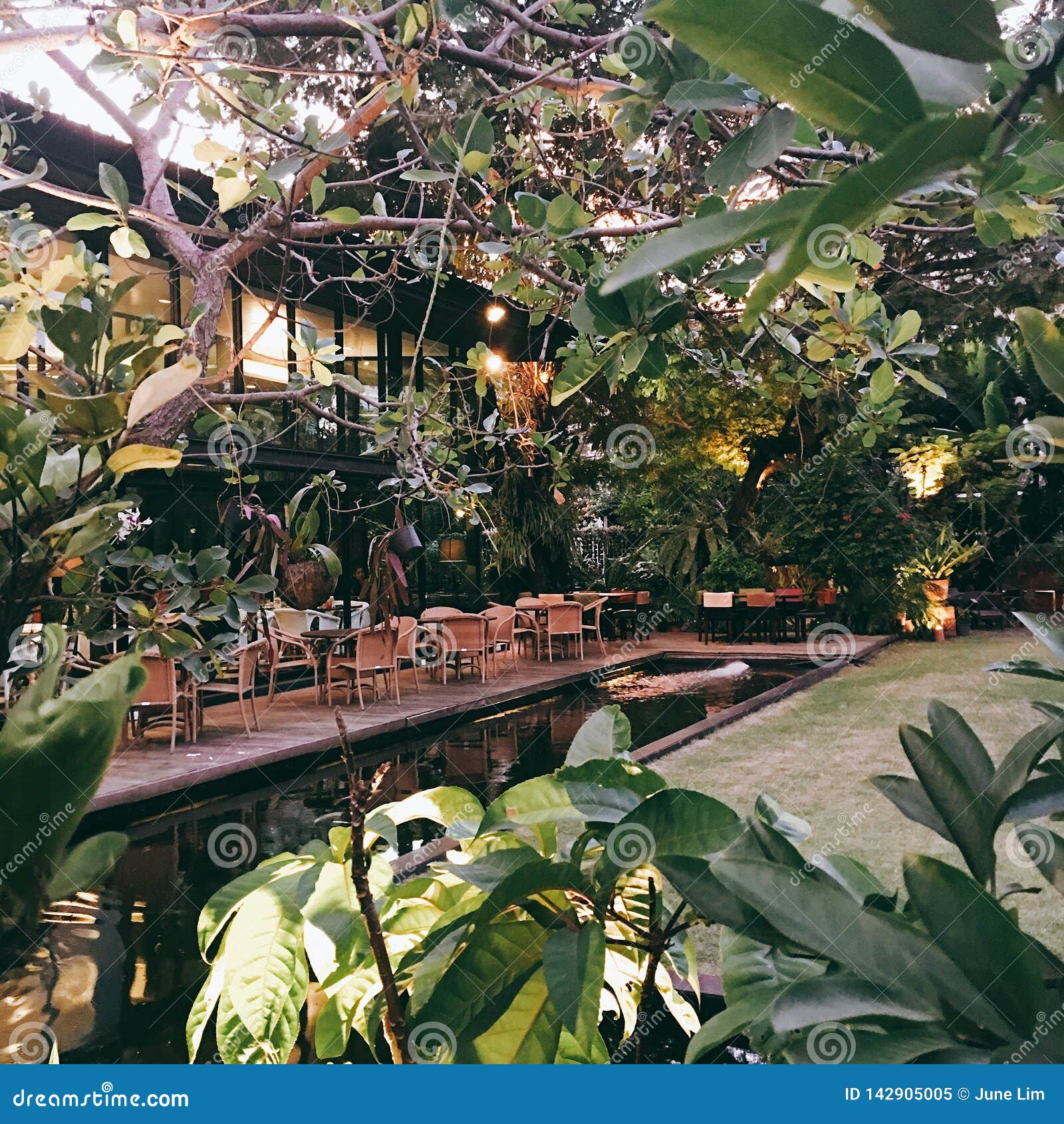 Good Ambiance for Dining Experience Stock Image - Image of good ...