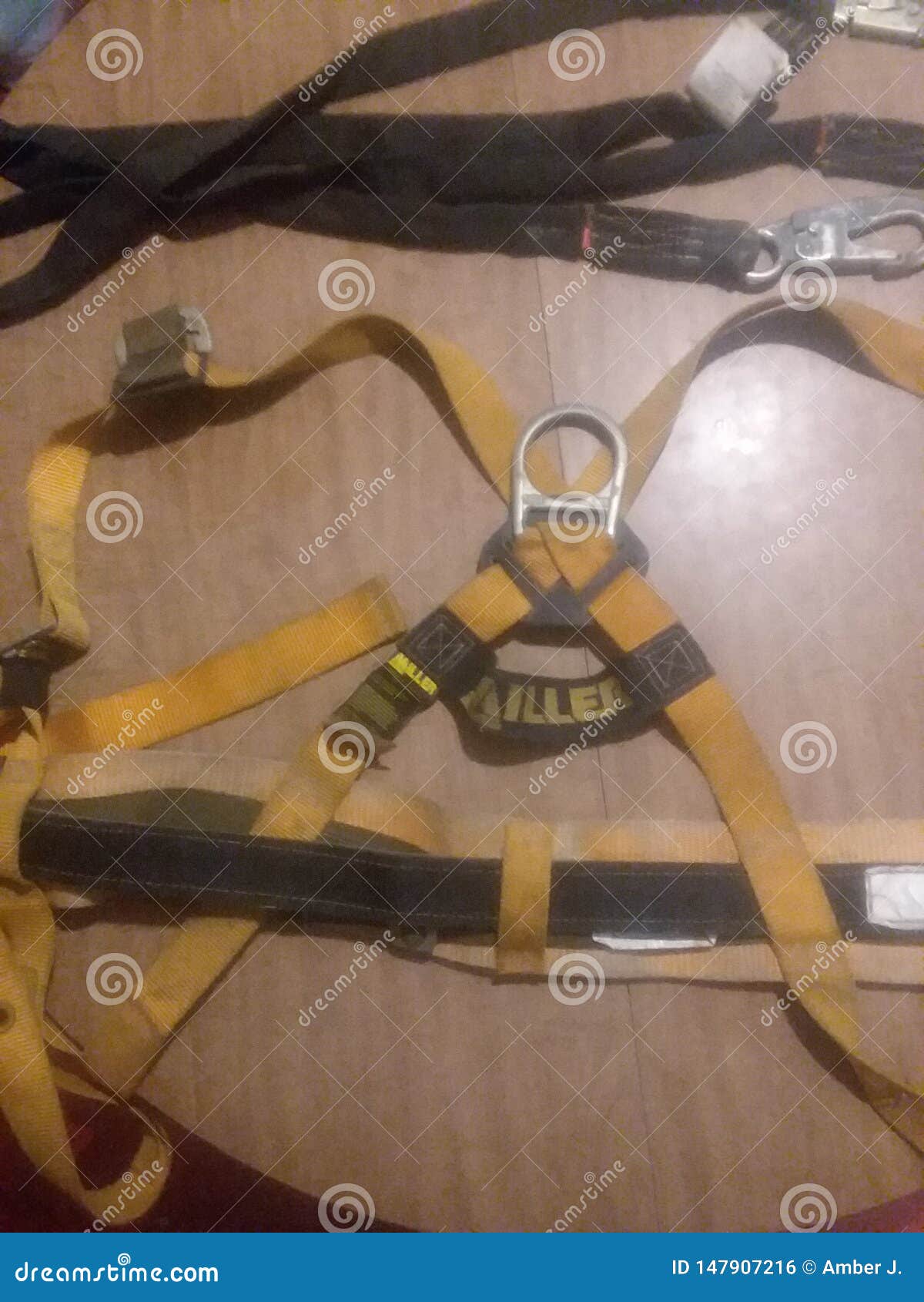 Harness editorial photo. Image of poles, harness, tree - 147907216