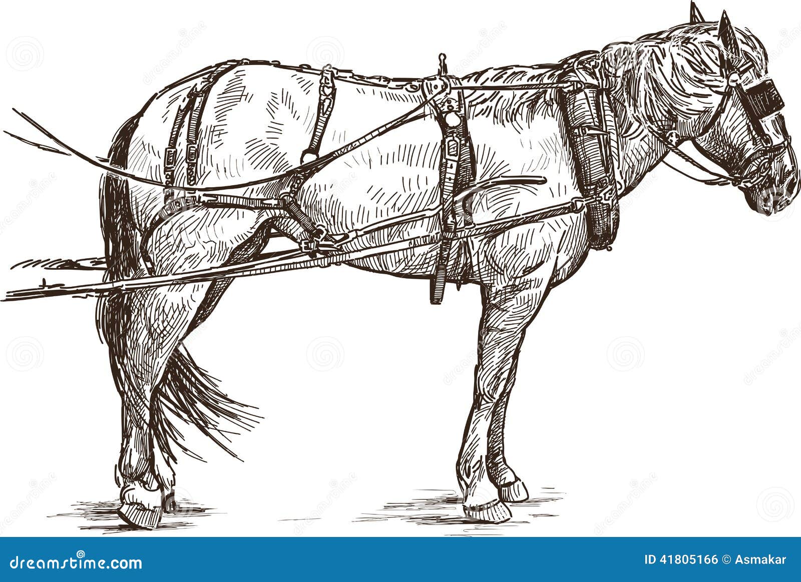 Harness horse stock vector. Illustration of white, livestock - 41805166