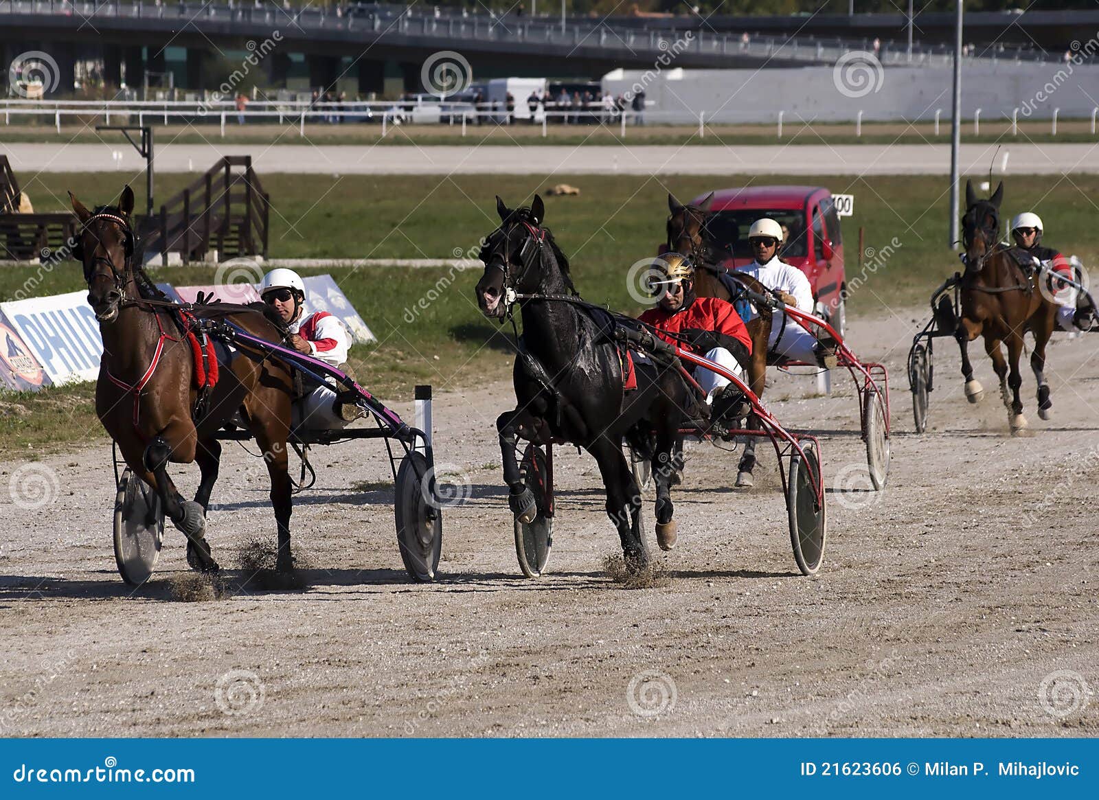 Harness racing-2 editorial photo. Image of effort, competition - 21623606
