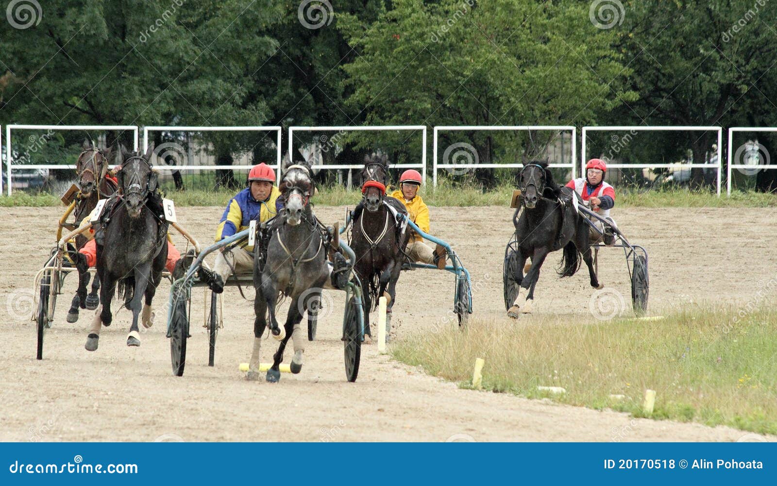 Harness racing 3 editorial stock photo. Image of event - 20170518