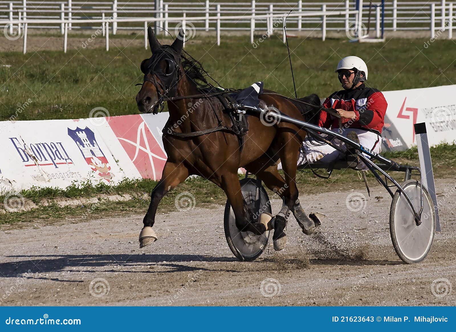 Harness racing-4 editorial stock photo. Image of equine - 21623643