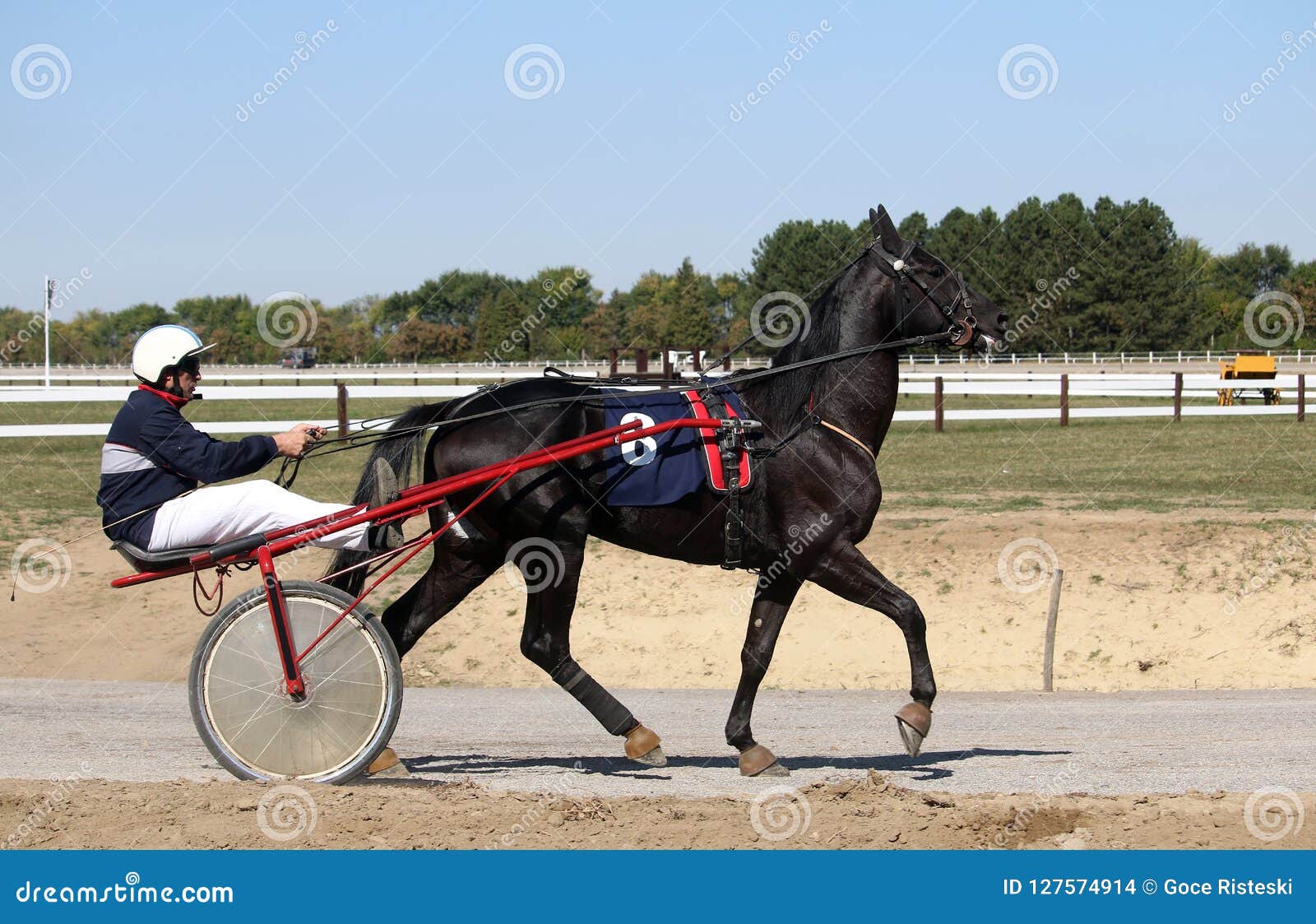 Harness Racing Horse and Jockey Editorial Stock Image - Image of derby ...