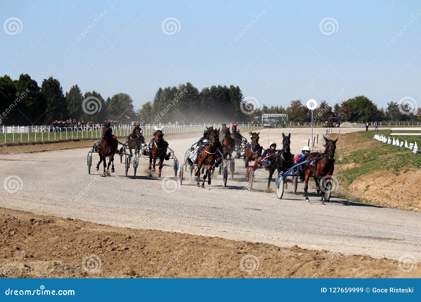 Harness Racing In Alexandra Park Raceway In Auckland New Zealand ...
