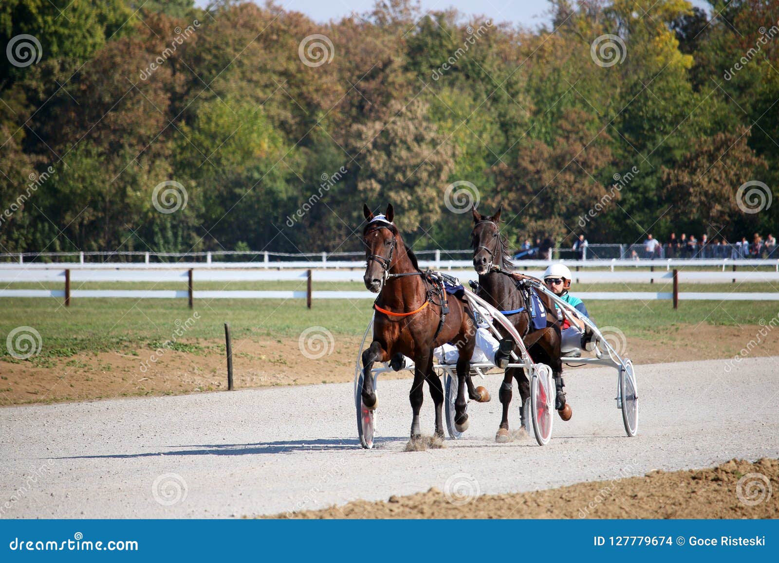 Harness Racing at the Hippodrome Editorial Stock Image - Image of ...