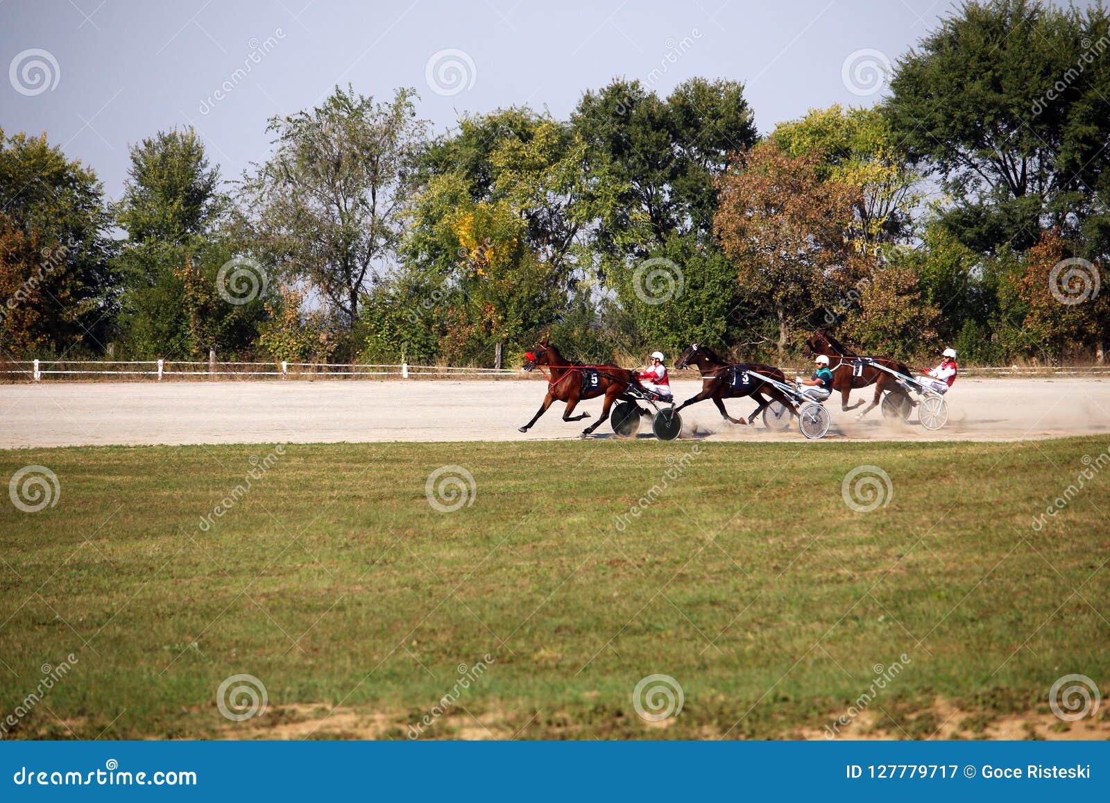 Harness Racing Horses in Fast Motion Editorial Photography - Image of ...