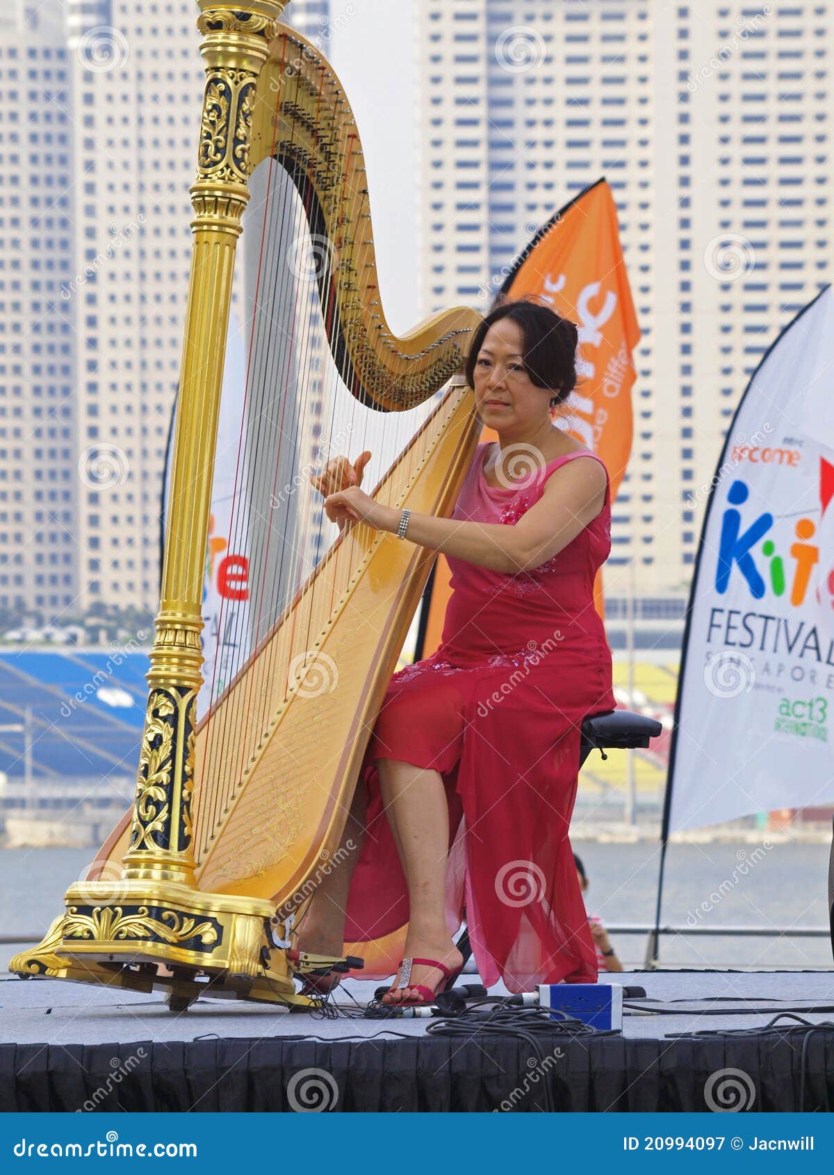 Harp Performance editorial photography. Image of professional - 20994097