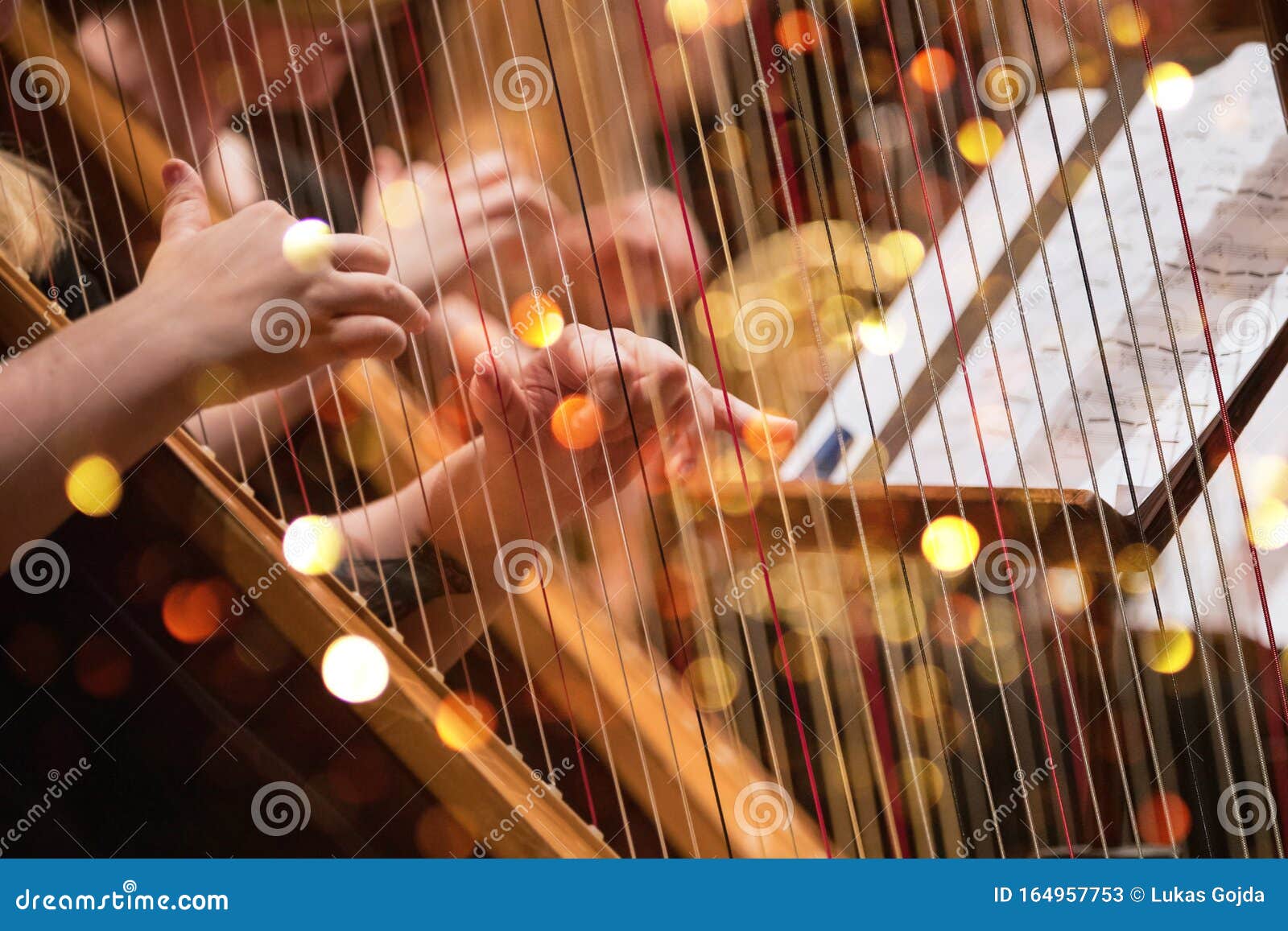 Harp Player during a Classical Concert Music Stock Image - Image of ...