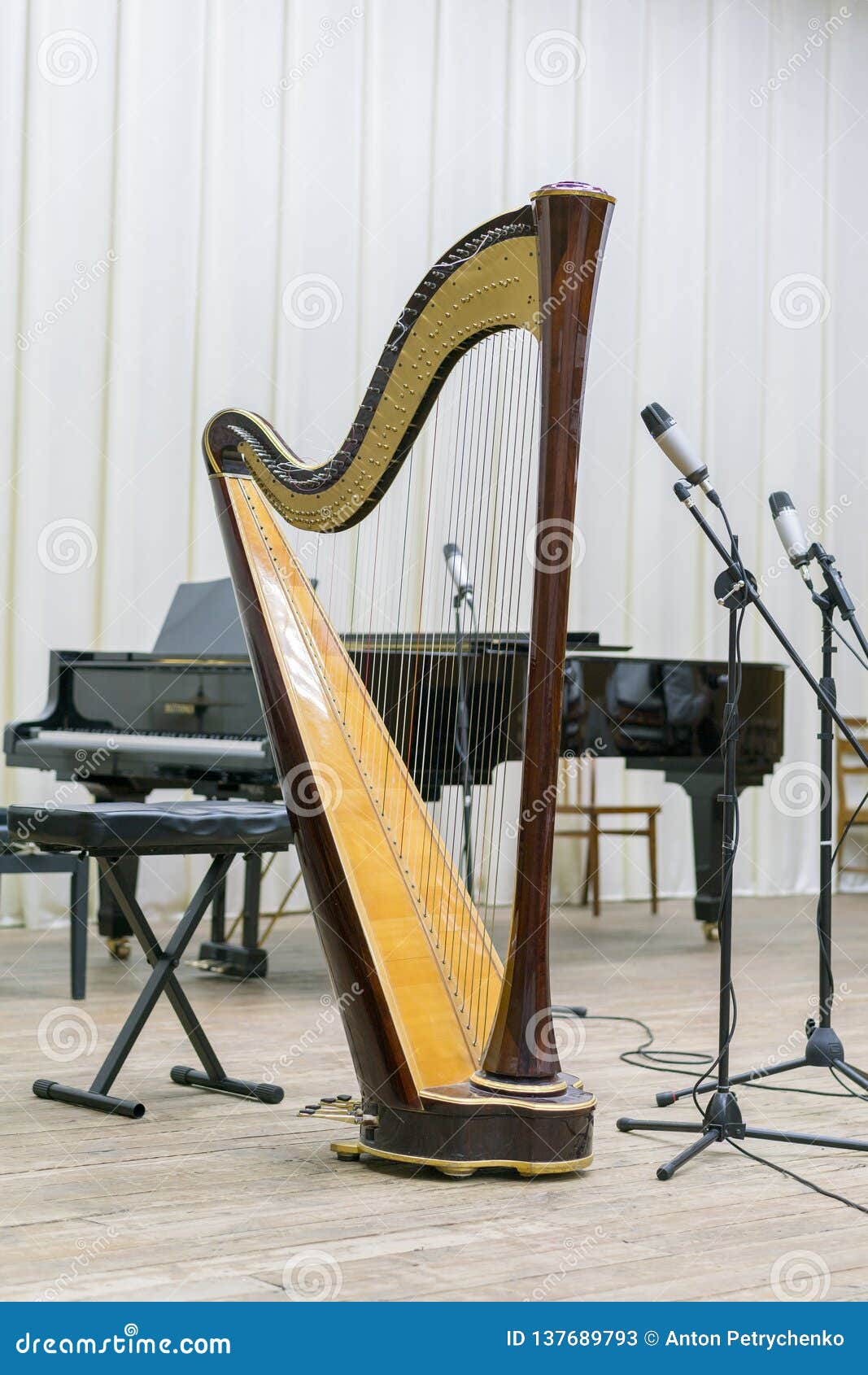 Harp on Stage. Vertical Photo Stock Image - Image of opera, concert ...