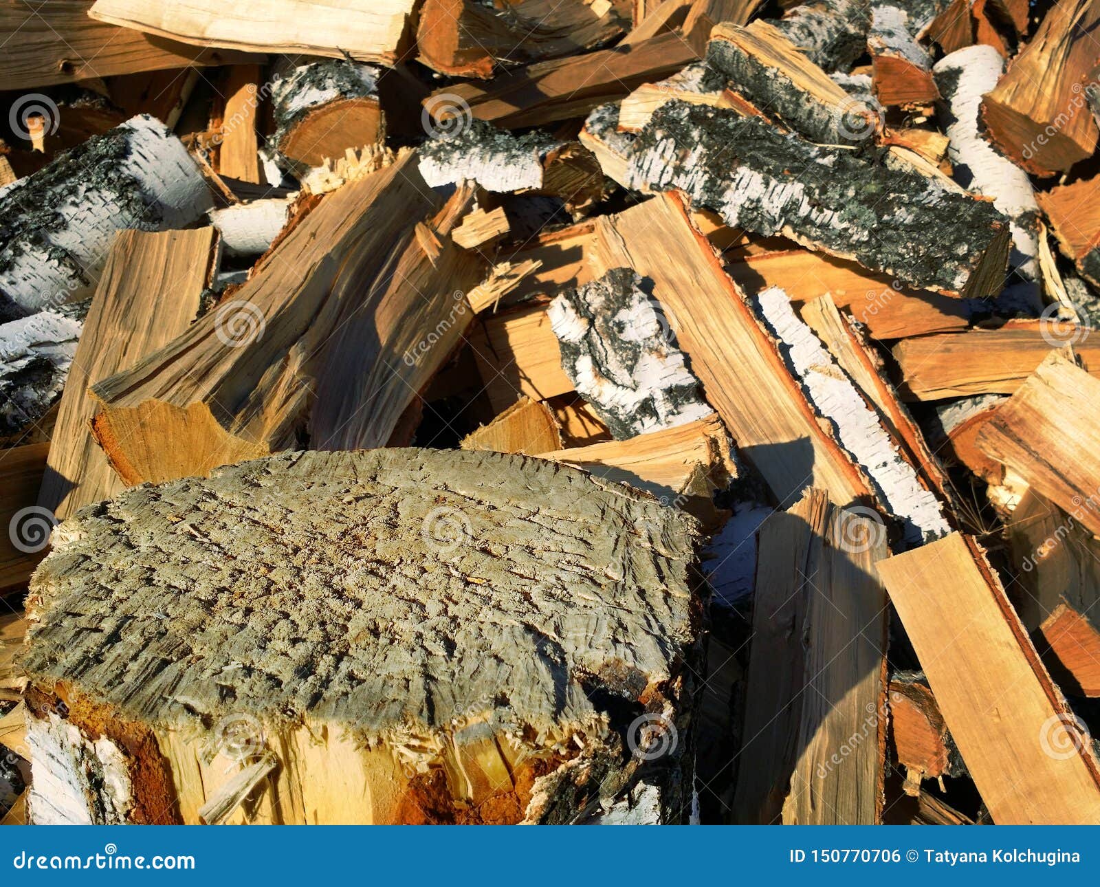 Sharp Tree Stump Stand And Background Of Birch Firewood Texture Royalty ...