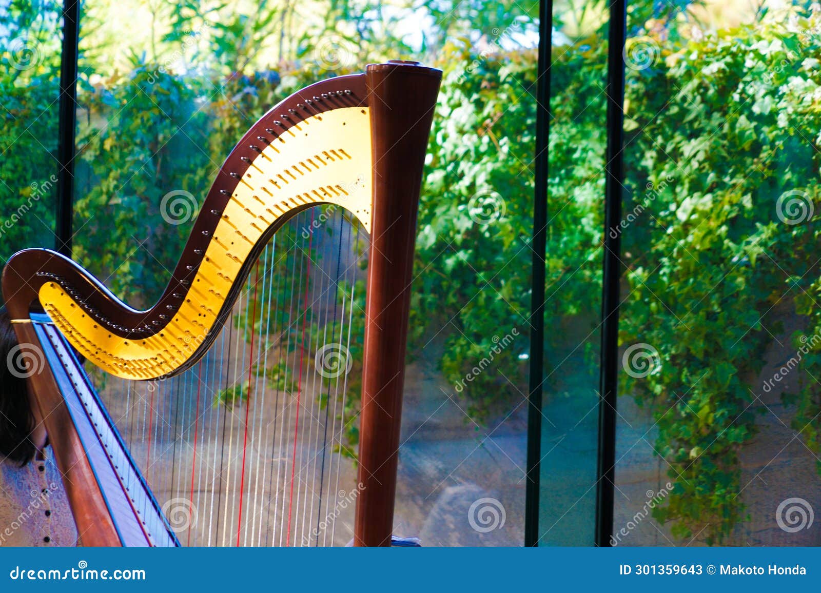 Harp up close stock image. Image of classic, window - 301359643