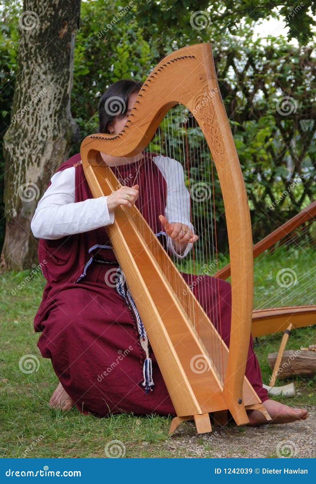Harpe celtique image stock. Image du équipement, serein - 1242039