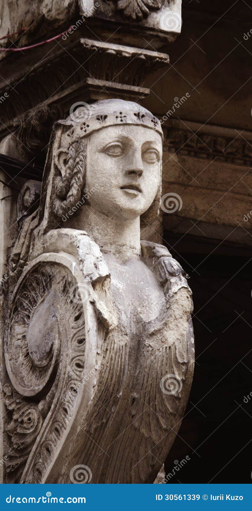 Harpia (monstro imortal) imagem de stock. Imagem de harpia - 30561339