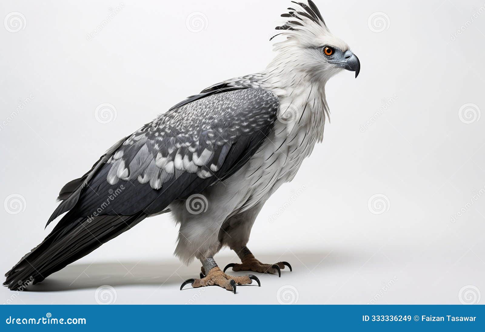 Harpy Transparent Icon. Harpy Symbol Design From Fairy Tale Coll Vector ...